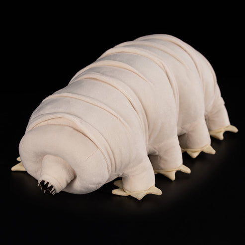 Tardigrade Water Bear Soft Stuffed Plush Toy – Gage Beasley