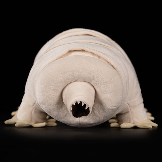 Tardigrade Water Bear Soft Stuffed Plush Toy – Gage Beasley