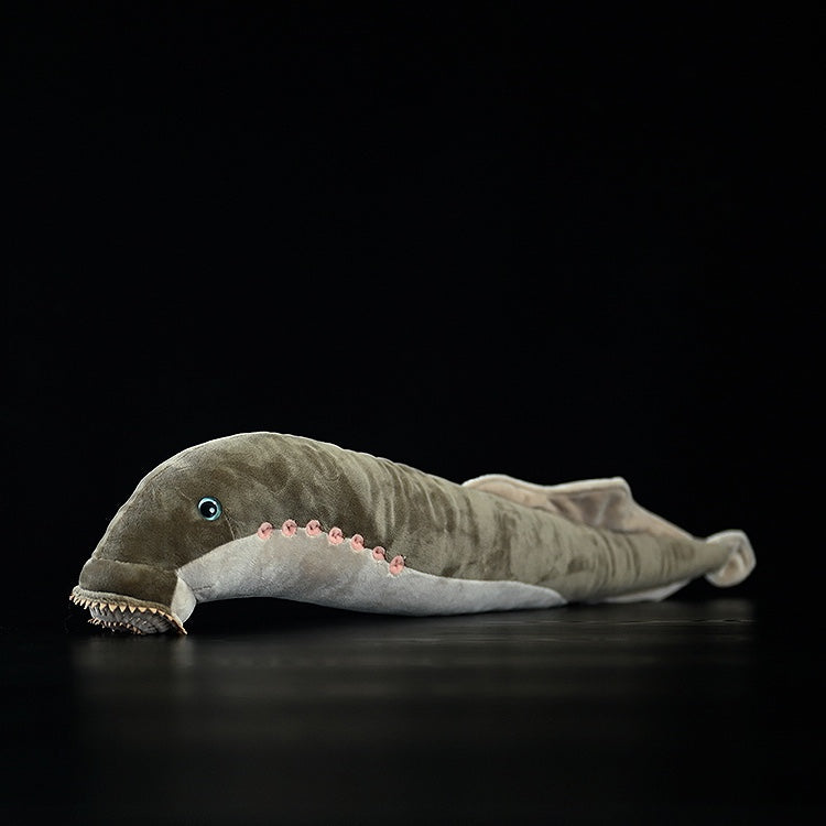 Sea Lamprey Soft Stuffed Plush Toy – Gage Beasley