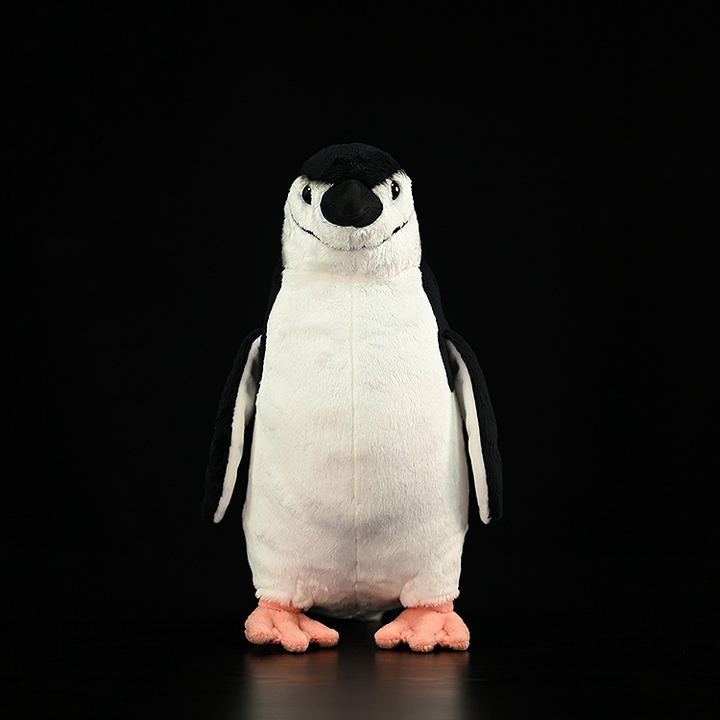 Gage Beasley | The Ultimate Store For Animal Kingdom Admirers!