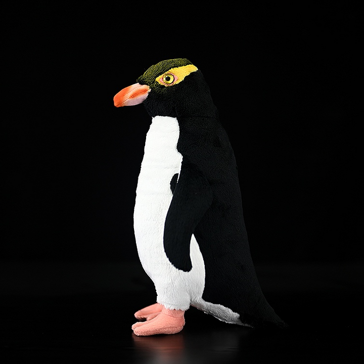 Gage Beasley | The Ultimate Store For Animal Kingdom Admirers!