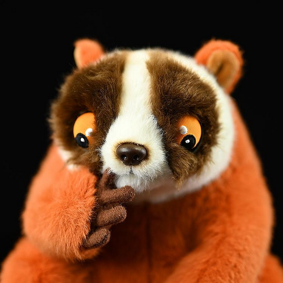 Slow Loris Soft Stuffed Plush Toy – Gage Beasley