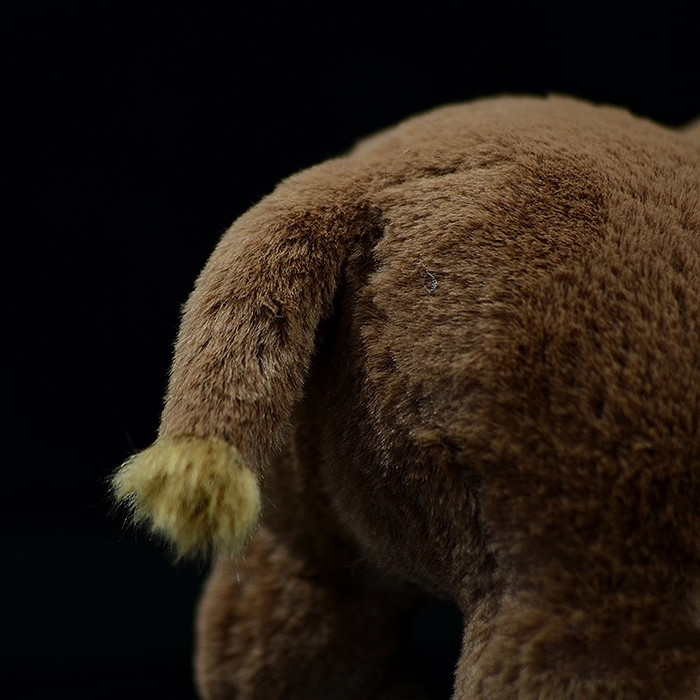 Elasmotherium Prehistoric Rhinoceros Soft Stuffed Plush Toy – Gage Beasley