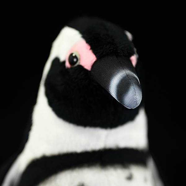 African Penguin Bird Soft Stuffed Plush Toy – Gage Beasley