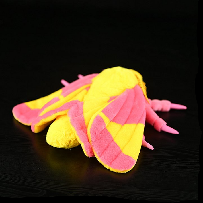 Rosy Maple Moth Soft Stuffed Plush Toy – Gage Beasley