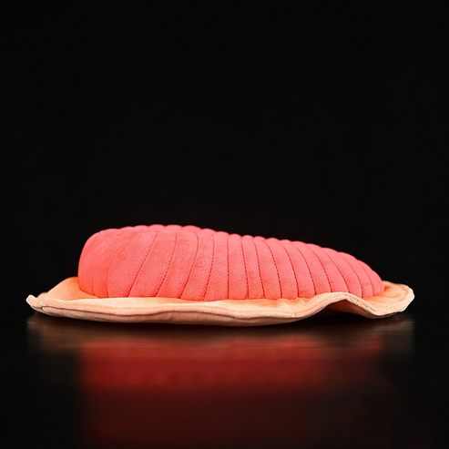 Dickinsonia Fossil Soft Stuffed Plush Toy – Gage Beasley