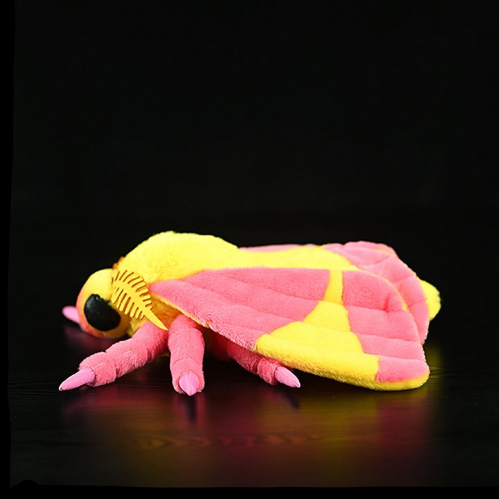 Rosy Maple Moth Soft Stuffed Plush Toy – Gage Beasley