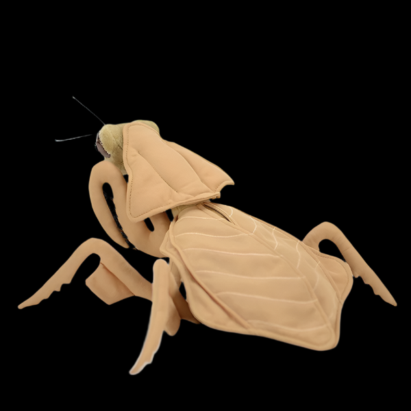 Dead Leaf Mantis Soft Stuffed Plush Toy – Gage Beasley