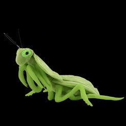 Shield Mantis Soft Stuffed Plush Toy – Gage Beasley