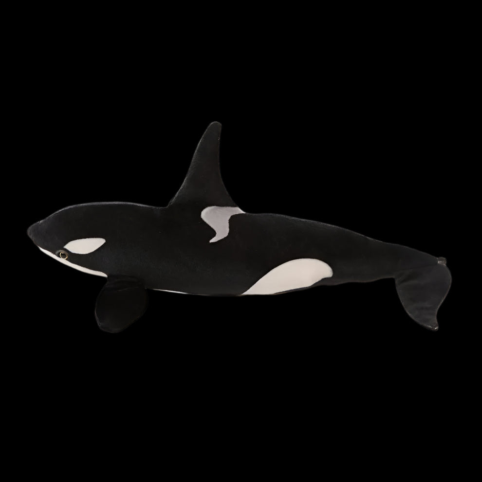 Large Orca Killer Whale Soft Stuffed Plush Toy – Gage Beasley