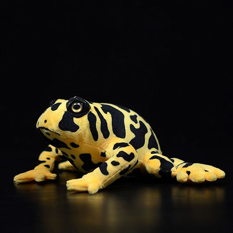 Poison Dart Frog Soft Stuff Plush Toy – Gage Beasley