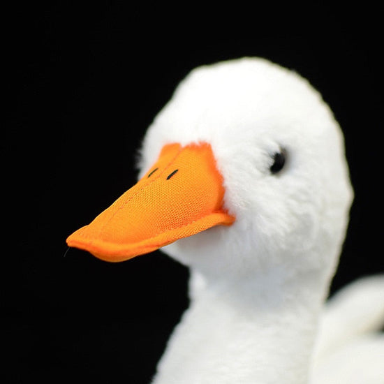 Call Duck Bird Soft Plush Toy – Gage Beasley